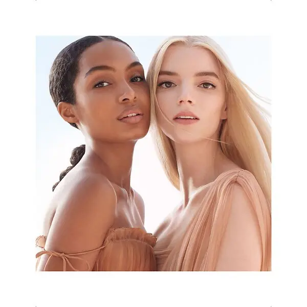 Dior Rouge Blush 6g - 100 Nude Look | Editorialist